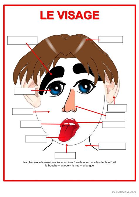 Dictionnaire d images Visage dicti Français FLE fiches pedagogiques
