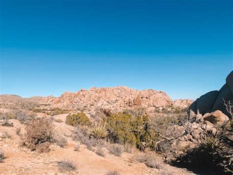 Hiking Joshua Tree 17 Memorable Hikes In Joshua Tree National Park