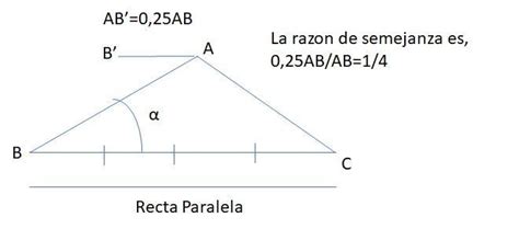 Hacer 5 ejercicios semejantes Traza en un triángulo ABC una recta
