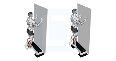 Bodyweight Standing Calf Raise Guide Benefits And Form