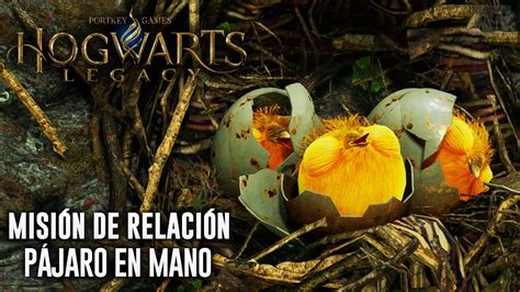 Hogwarts Legacy Misión de Relación Pájaro en Mano Español Latino