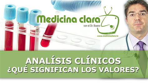 Guía detallada Cómo interpretar un análisis de sangre y orina paso a