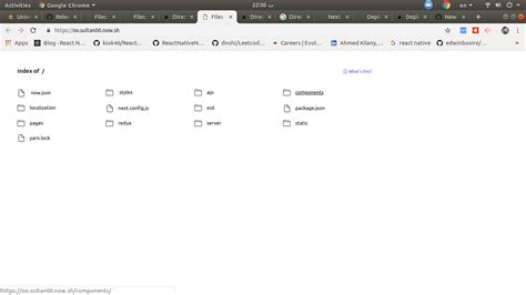 can t deploy gettig directory listing · issue 7280 · vercel next js · github