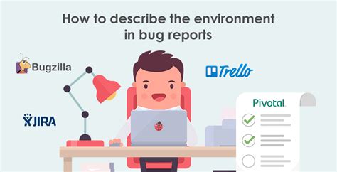 how to write the environment in bug tracking systems
