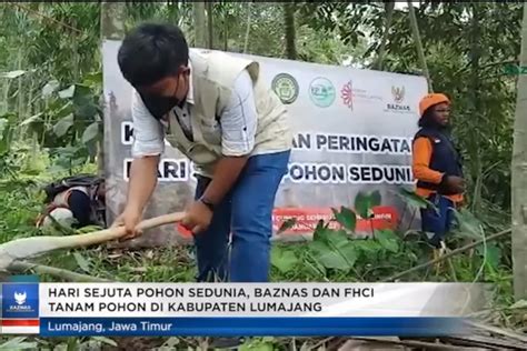 Peringati Hari Sejuta Pohon Sedunia Baznas Dan Fhci Tanam Pohon Di