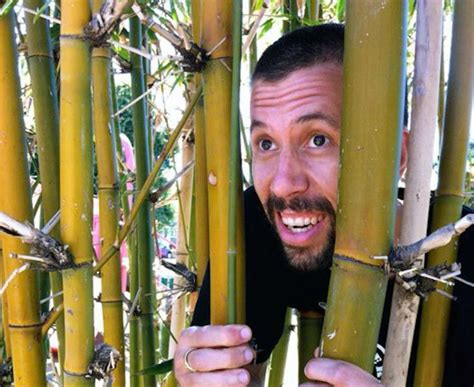 Bamboo Species Identification A Gallery Of Grasses Bambu Batu
