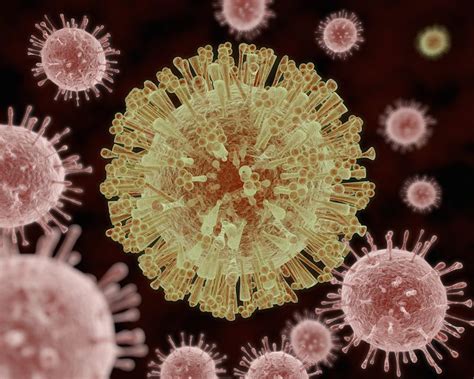 Are Viruses Alive Live Science