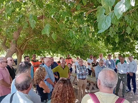La Generalitat reintroduce 12 crías de águila pescadora en el Parque