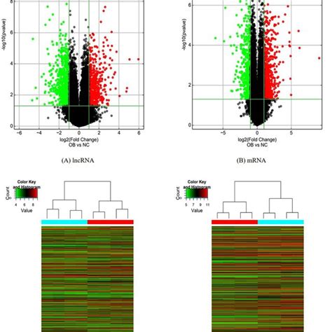 Volcano Plot And Hierarchical Clustering Map Up Regulated Red Dot Or