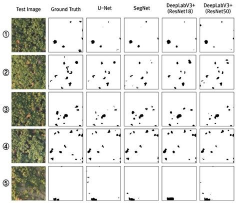 forests free full text detection of pine wilt disease using time series uav imagery and deep