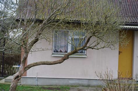 Działka Szczecin ul Fryderyka Chopina bez pośrednika 450 m2