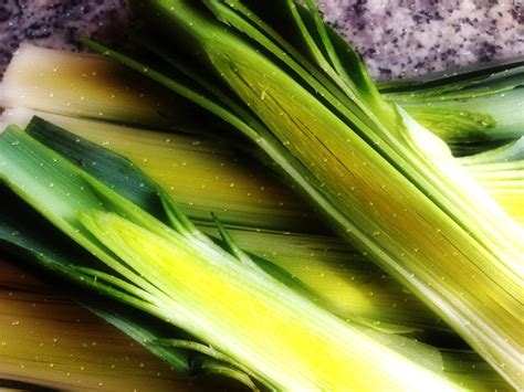 Vinaigre Contre Le Ver Du Poireau