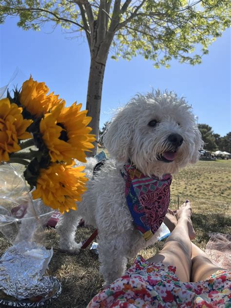 Allie Addison On Twitter A Lovely Day To Say The Least 🧺🌻