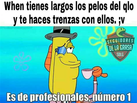 Mis Aportaciones A Sdlg Meme Amino