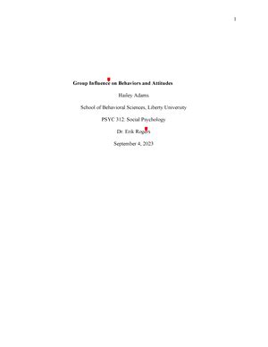 Aggression And Prejudice Activity Template PSYC 312 AGGRESSION AND