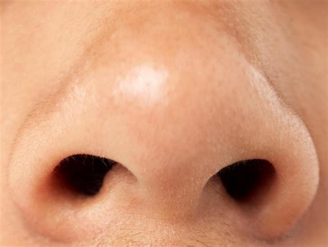 Nose Pov Unaware Vored Human
