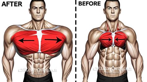 Exercise Chest Workout Dumbbells Only YouTube