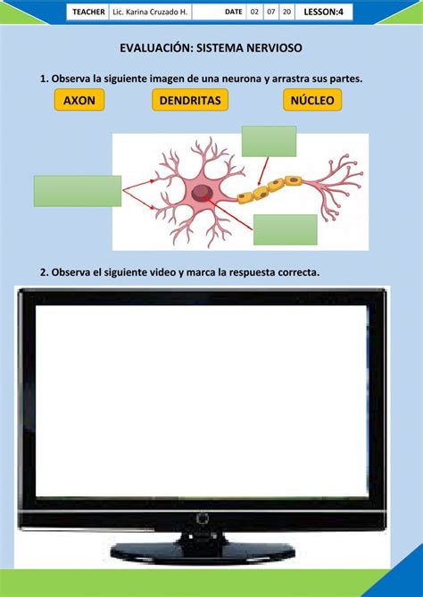 Ficha Online De El Sistema Nervioso Para Tercer Grado De Primaria