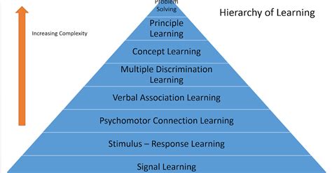 steps in classification according to hierarchical alg