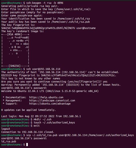 How To Show Progress During File Transfer With Rsync ByteXD