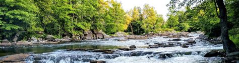 1172 campings en bord de rivière pour vos vacances partout en France