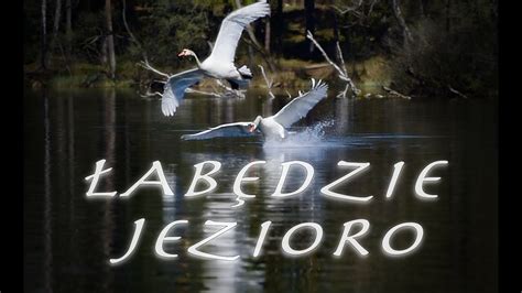Łabędzie Jezioro czyli opowiadanie przyrodniczo muzyczne o miłości w