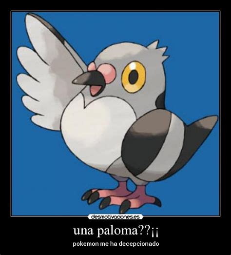 Una Paloma Desmotivaciones
