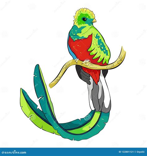 How To Draw A Quetzal Step By Step