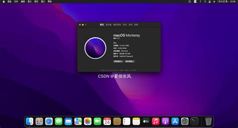 vmware workstation pro 16 安装 mac os monterey 12 1 一本通 mac vmdk 下载 csdn博客