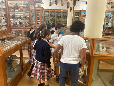 El primer viernes de apertura del museo un gran éxito Colegio La