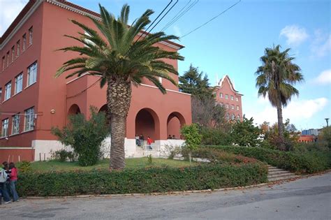Col Gio De Santa Doroteia Colegio Pt
