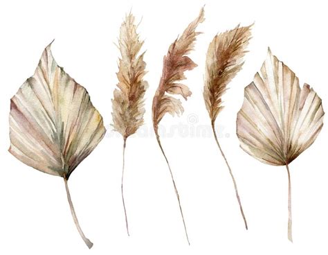Watercolor Tropical Bouquet With Dry Pampas Grass And Gold Textures