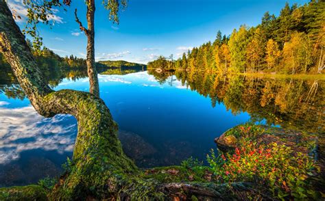 Lake Forest Wallpapers HD Desktop And Mobile Backgrounds