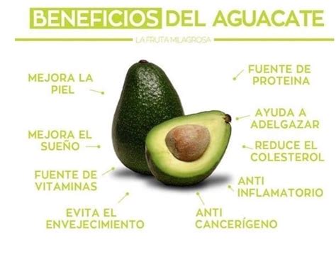 Descubre Los Beneficios Del Aguacate Y Su Semilla