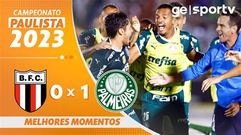 Botafogo Sp X Palmeiras Melhores Momentos Rodada Do