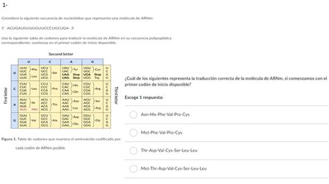 Ejercicios de traducción GMVALE uDocz