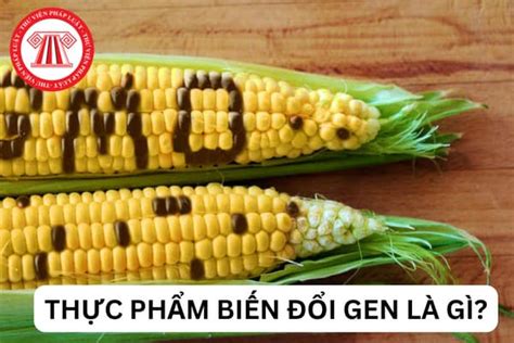 Top 6 khái niệm gen là gì mới nhất năm 2023 EU Vietnam Business