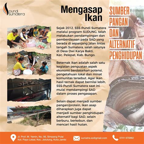 Infografis Pundi Sumatra