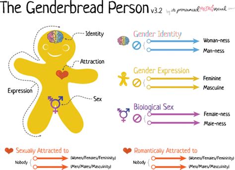 The Genderbread Person Is An Edugraphic I E Educational Graphic