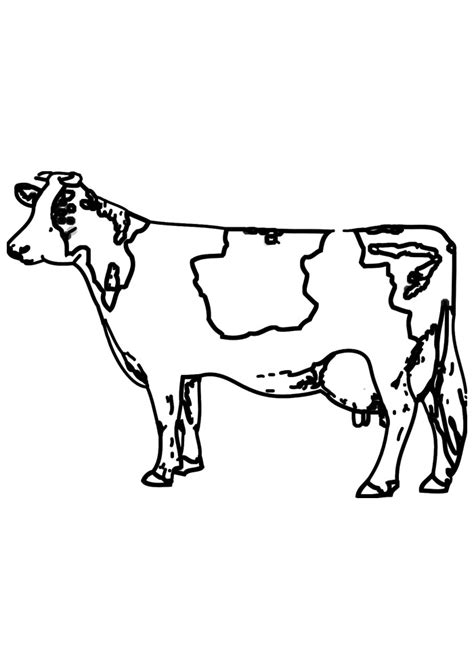 40 Desenhos De Vacas Para Colorir