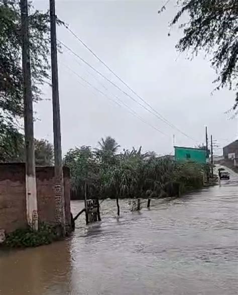 Campina Grande registra pontos de alagamento e queda de árvores após