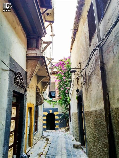 Pin Di Rasha Najjar Su Damascus