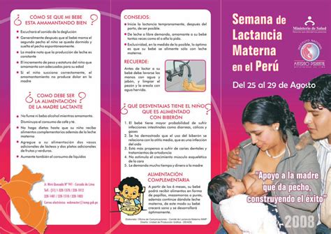 PDF Triptico Lactancia Materna DOKUMEN TIPS