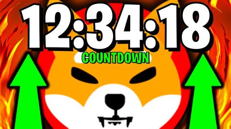 Urgent Shiba Inu Fate Decided Tonight Last Warning Shiba Inu