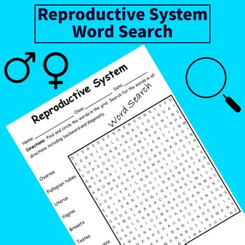 Female Reproductive System Word Search Teaching Resources Tpt