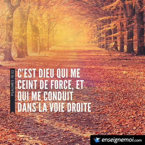 Le verset du jour en image Versets Citations bibliques Évangile