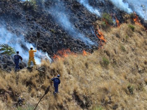 Cusco Brigadas Reanudan Labores Para Controlar Incendio Forestal En