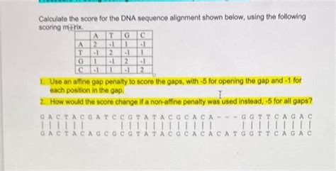 calculate the score for the dna sequence alignment
