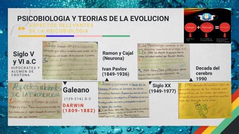 Psicologia Biologica Linea Del Tiempo Porn Sex Picture