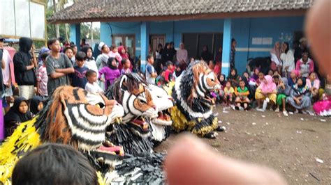 Atraksi Can Macanan New Maong Remas DAN Singo Manggala YouTube